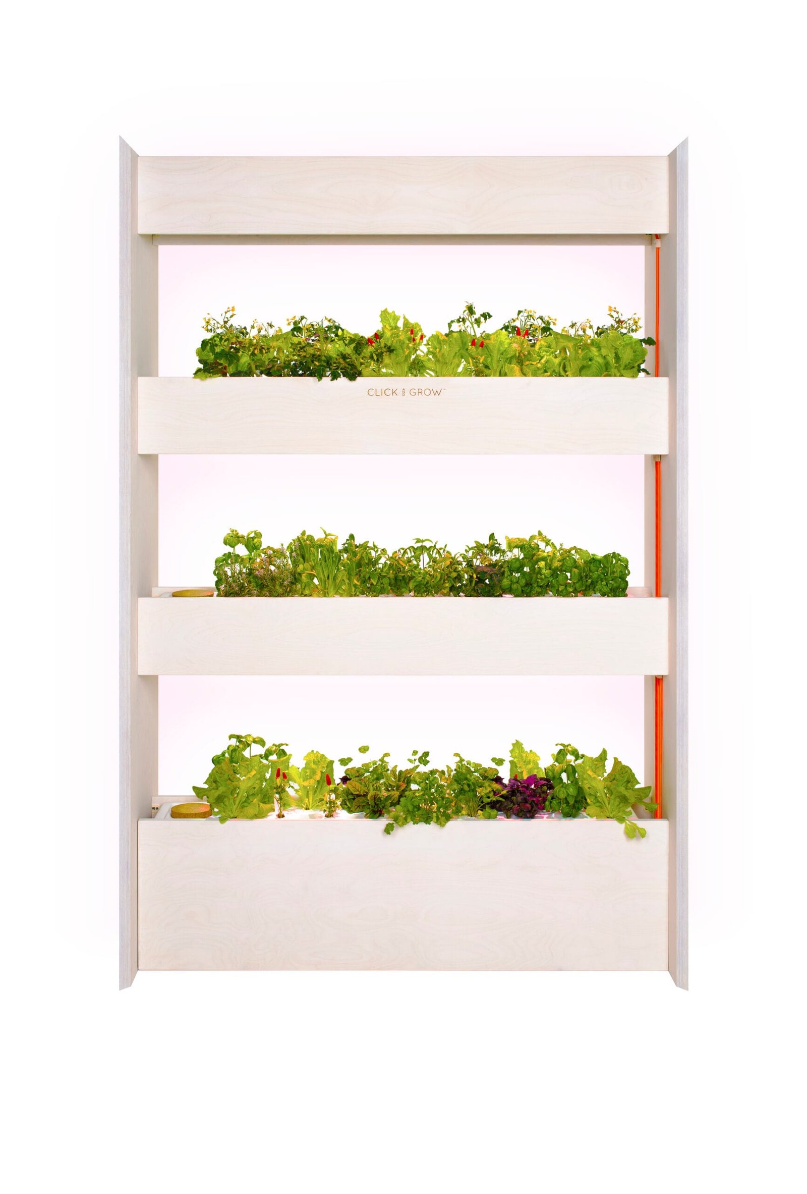 Click And Grow: Modern Gardening Simplified